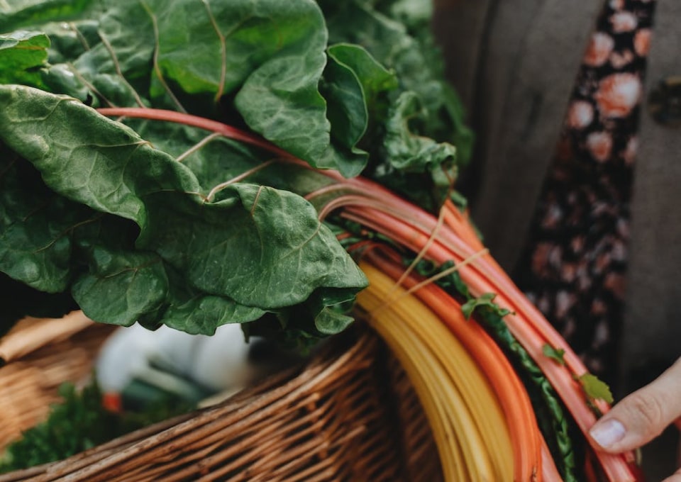 About Us – OGG Food